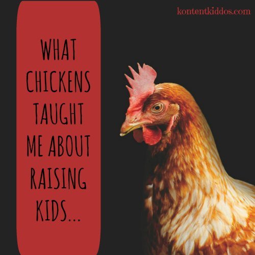 What Chickens Taught Me About Raising Kids Kontent Kiddos
